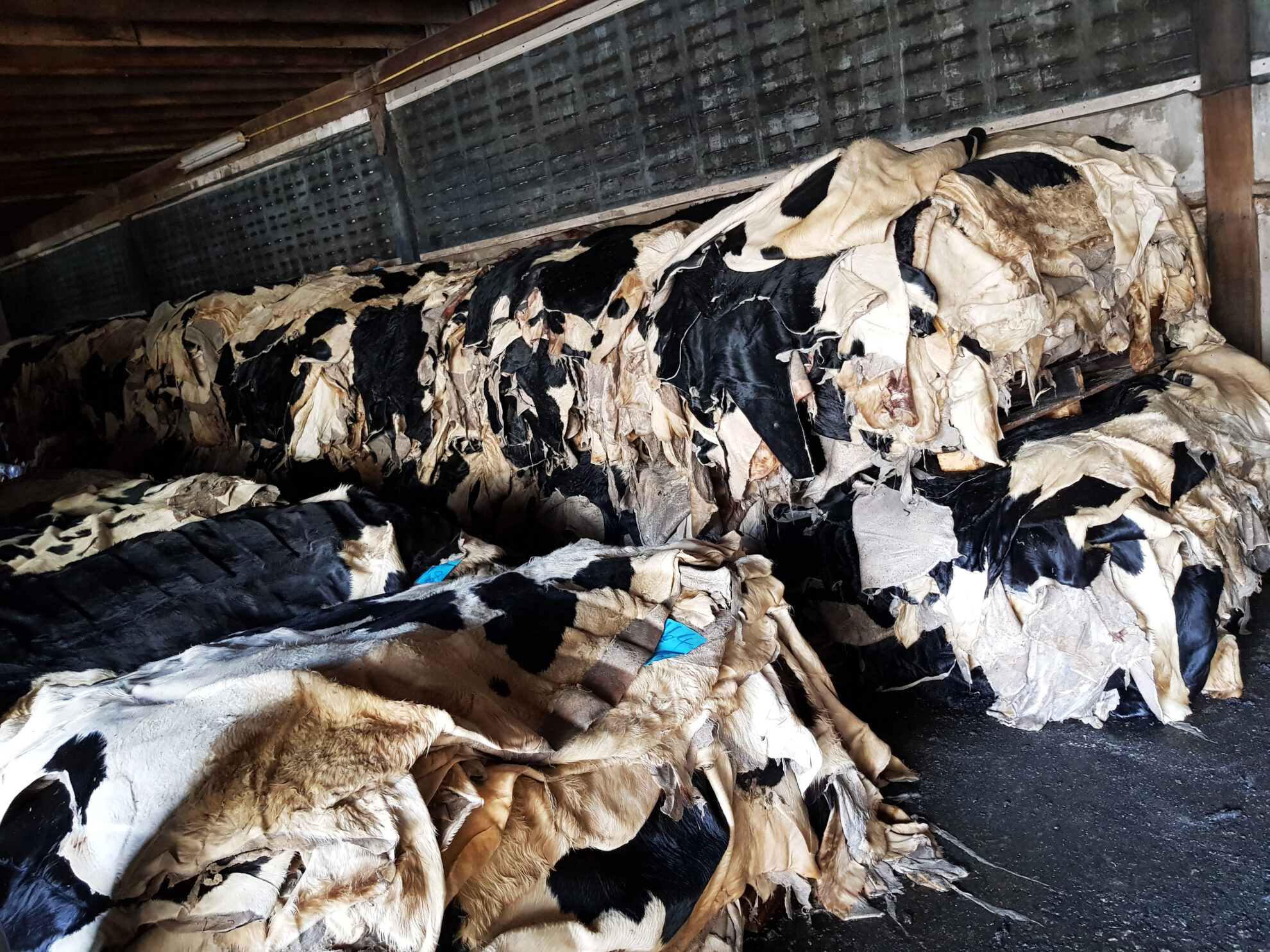 What is a tannery? - Zeology Leather